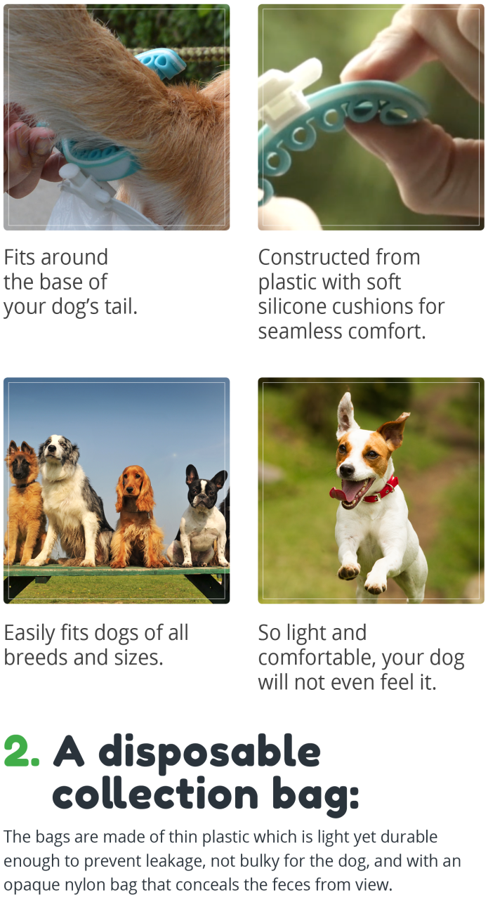 Piqapoo - Collects your dog's poo for you | Indiegogo
