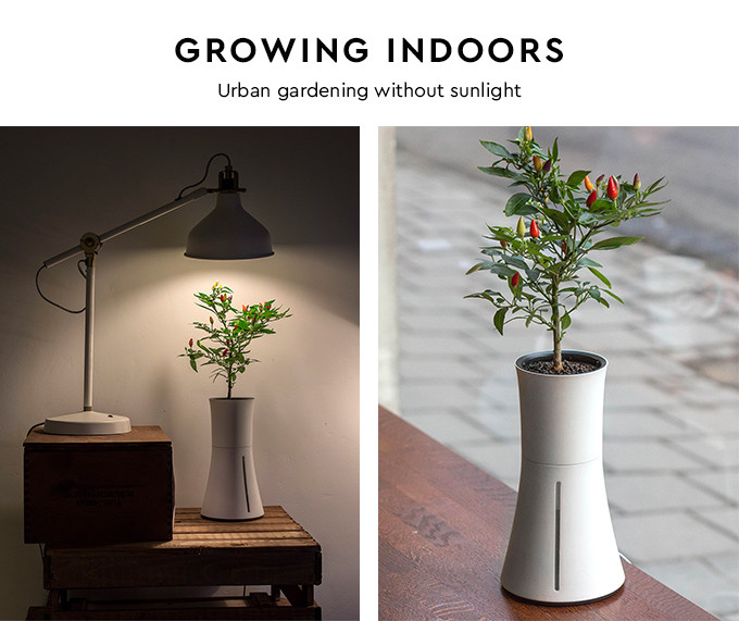 Botanium - Grow Edible Greens. Fast & Effortlessly | Indiegogo