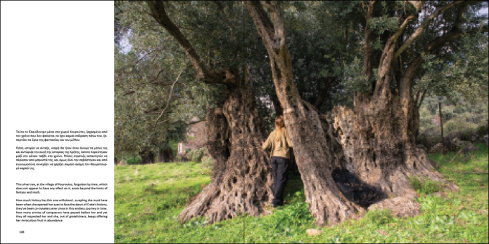 The centuries-old olive trees of Crete | Indiegogo