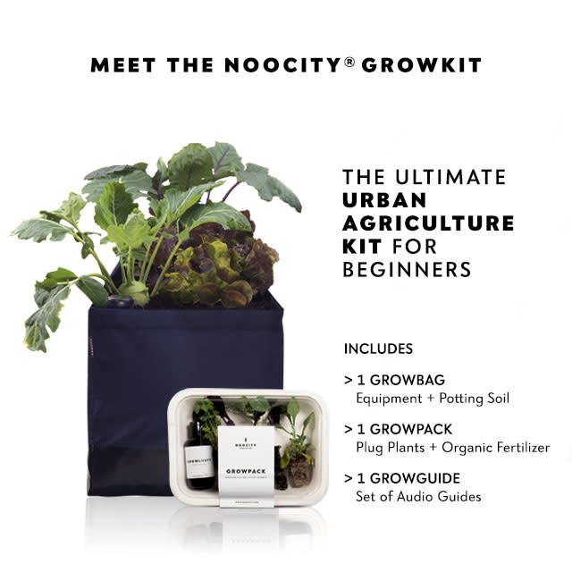 GROWKIT - The Urban Agriculture Kit for Beginners | Indiegogo