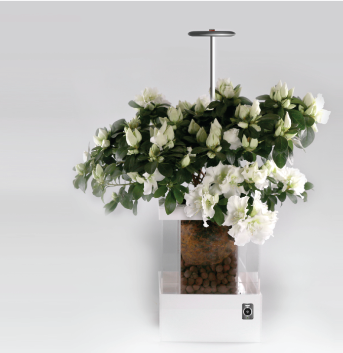 SPOT - A smart plant pot that takes selfies! | Indiegogo