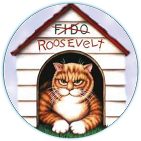 eegloo - your pet’s personal air conditioner | Indiegogo