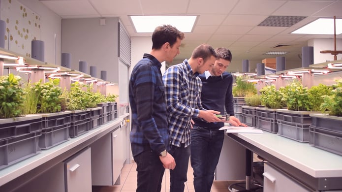 Calla - My Indoor Garden | Indiegogo