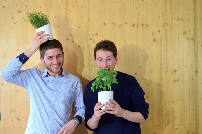 Calla - My Indoor Garden | Indiegogo