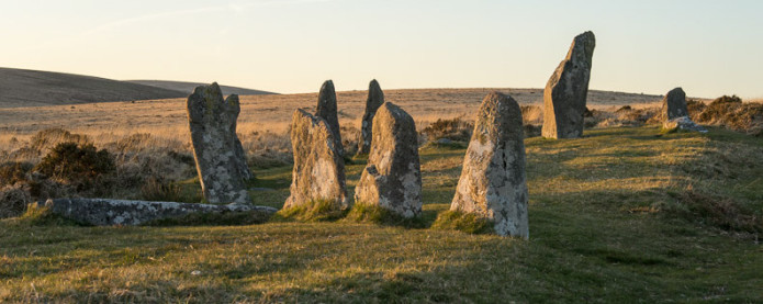 The Green Wheel Oracle | Indiegogo