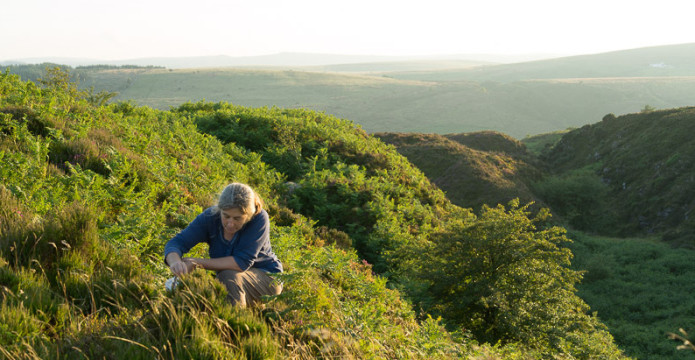 The Green Wheel Oracle | Indiegogo