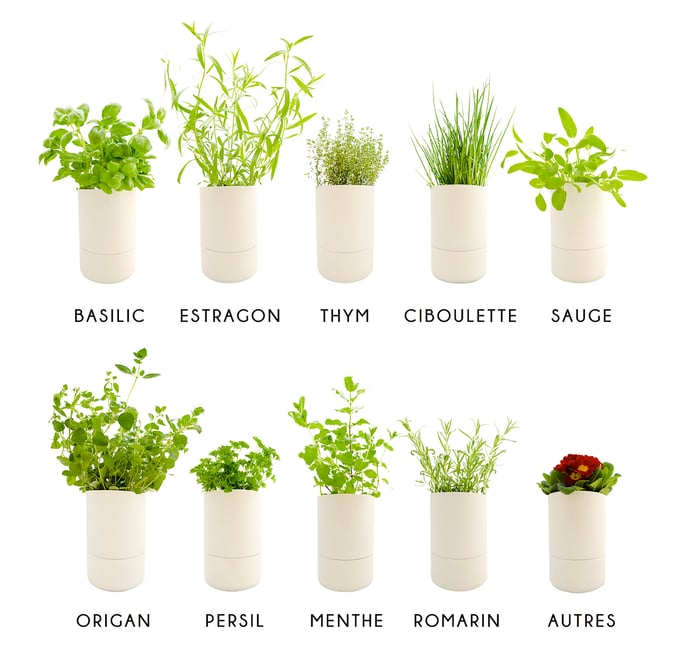 Calla - My Indoor Garden | Indiegogo