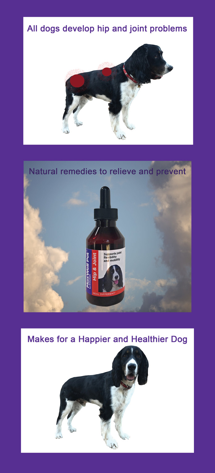 MaxWell Pet - Natural Supplements for Dogs | Indiegogo