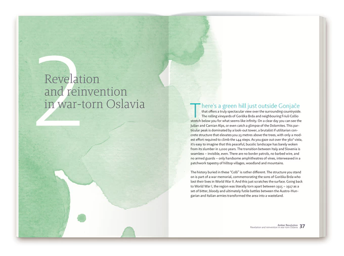 Amber Revolution | Indiegogo