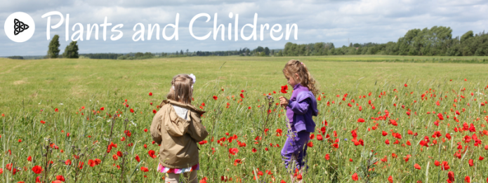 PLANTS PLAY - Listen to the Music of your Plants | Indiegogo