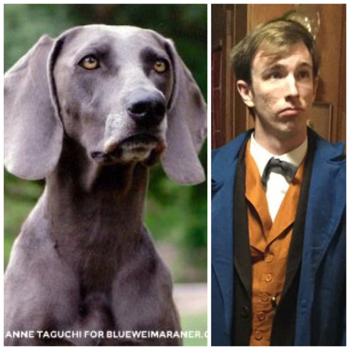 American Referee Invasion of Quidditch World Cup | Indiegogo