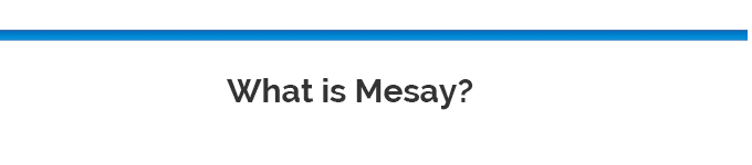 MESAY-20 Languages Voice Translator-You say,I know | Indiegogo