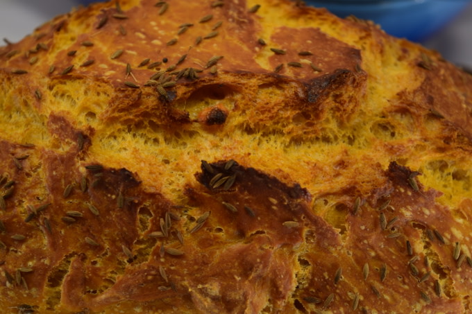 LoafNest : World's Easiest Artisan Bread Kit | Indiegogo