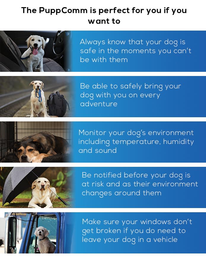 PuppComm: Always Know Your Dog is Safe Everywhere | Indiegogo