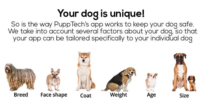 PuppComm: Always Know Your Dog is Safe Everywhere | Indiegogo