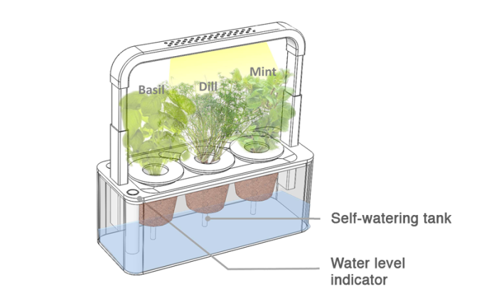 Nature Box: Smart, Simple, Renewable Indoor Garden | Indiegogo