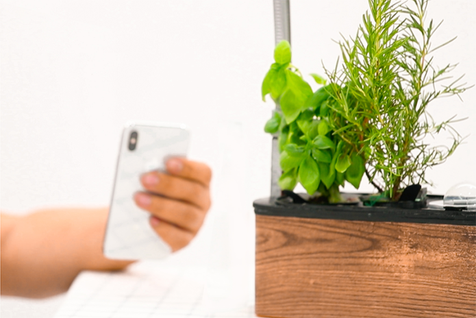 Nature Box: Smart, Simple, Renewable Indoor Garden | Indiegogo