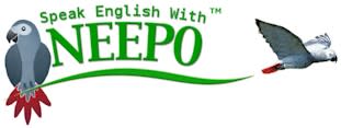 Speak English With NEEPO | Indiegogo