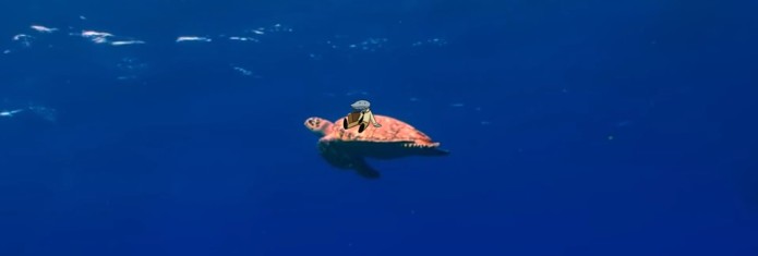 Clam Man: the world's first clam-based comedy game | Indiegogo