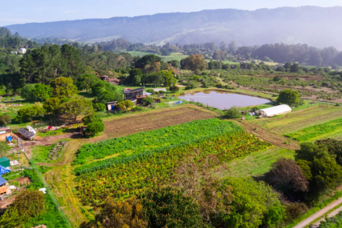 Shao Shan Farm | Indiegogo