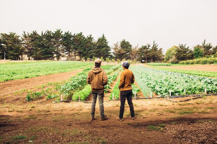 Shao Shan Farm | Indiegogo