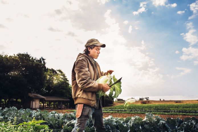 Shao Shan Farm | Indiegogo