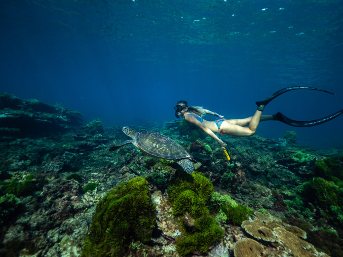 eSPEAR, The Worlds First Handheld Shark Deterrent | Indiegogo