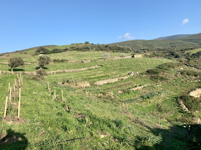 Mazi Farm : Farming for The Future | Indiegogo