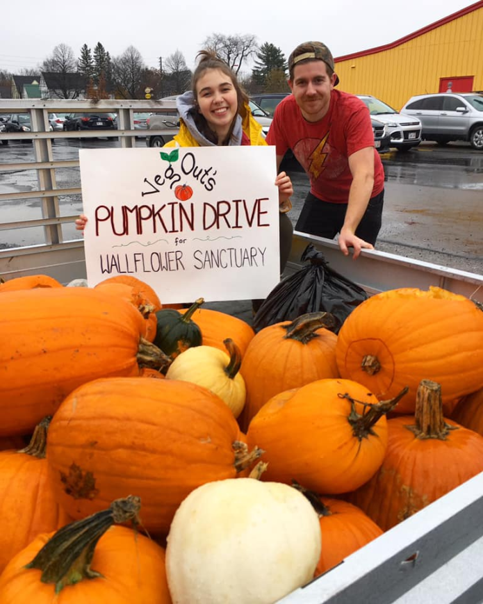Veg Out: Fredericton's Plant-Powered Food Truck | Indiegogo