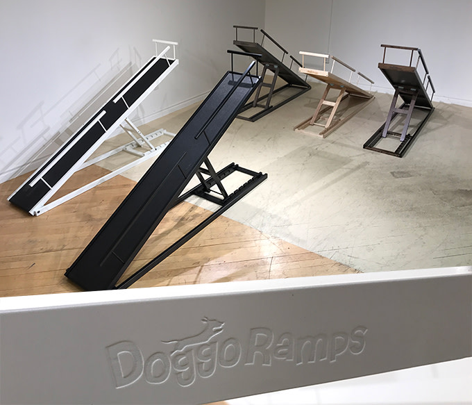 DoggoRamps 2.0 - The Best Bed Ramps for Small Dogs | Indiegogo