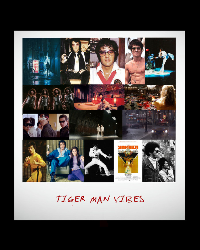 TIGER MAN - proof of concept | Indiegogo