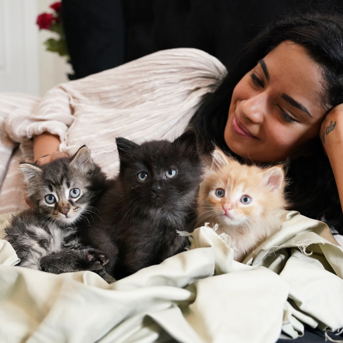 Pocari Roo Saves the Kitties | Indiegogo