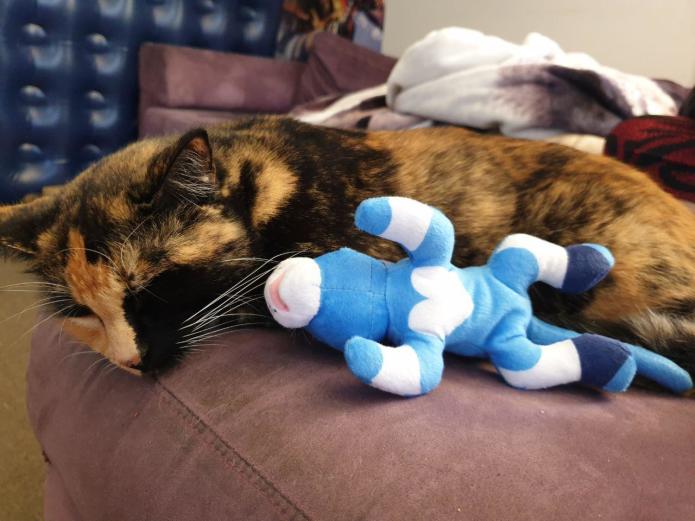 Pocari Roo Saves the Kitties | Indiegogo