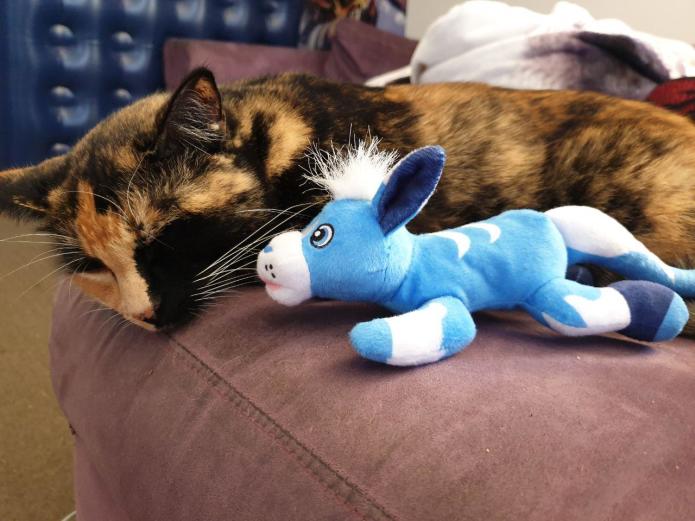 Pocari Roo Saves the Kitties | Indiegogo