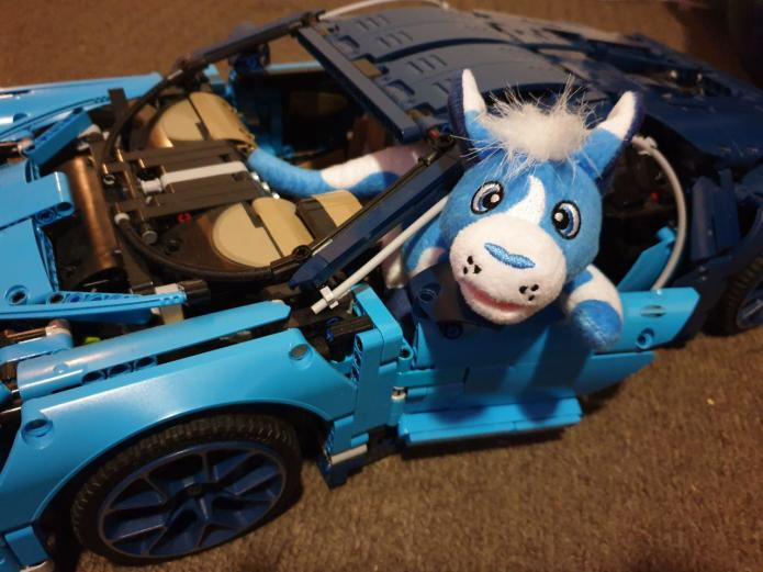 Pocari Roo Saves the Kitties | Indiegogo