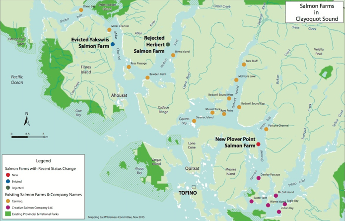 Going Viral to save Wild Salmon | Indiegogo