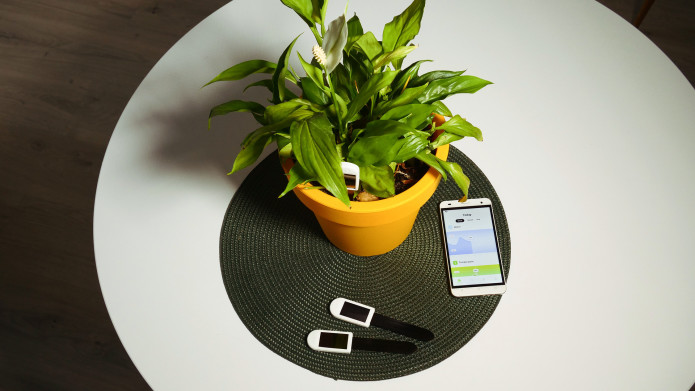 greensens: Smart Houseplant Sensor | Indiegogo