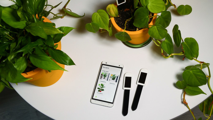 greensens: Smart Houseplant Sensor | Indiegogo
