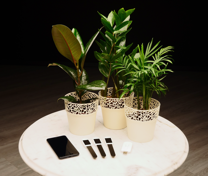 greensens: Smart Houseplant Sensor | Indiegogo
