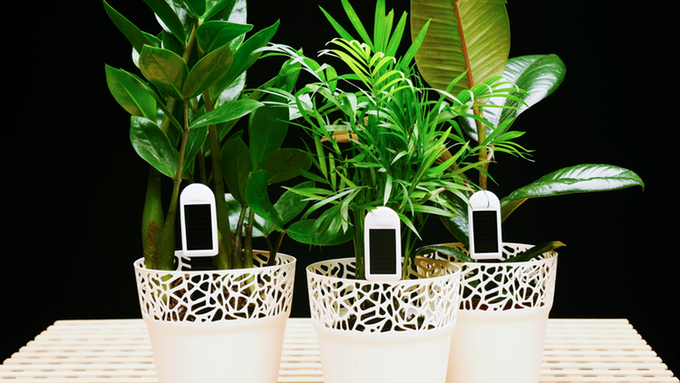 greensens: Smart Houseplant Sensor | Indiegogo