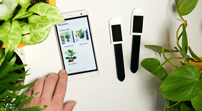 greensens: Smart Houseplant Sensor | Indiegogo