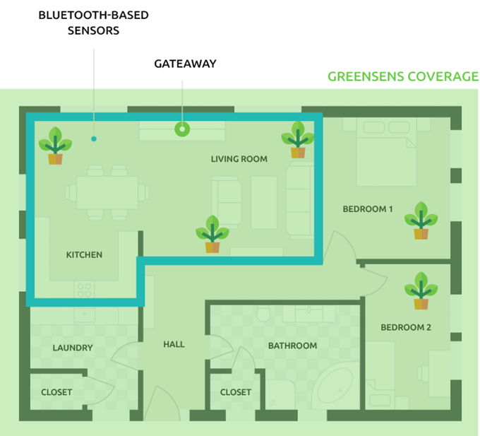 greensens: Smart Houseplant Sensor | Indiegogo