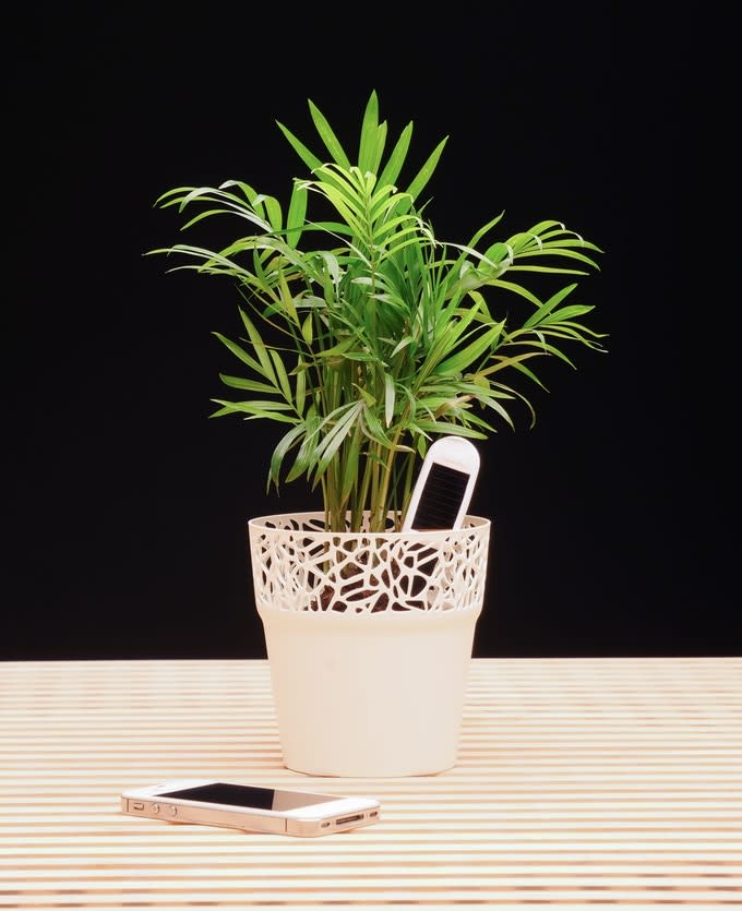 greensens: Smart Houseplant Sensor | Indiegogo
