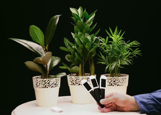 greensens: Smart Houseplant Sensor | Indiegogo