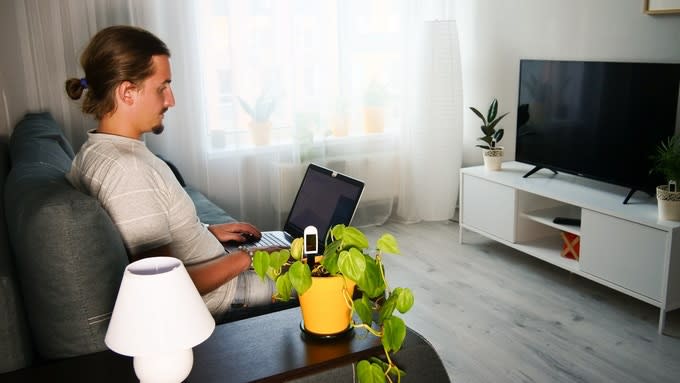 greensens: Smart Houseplant Sensor | Indiegogo