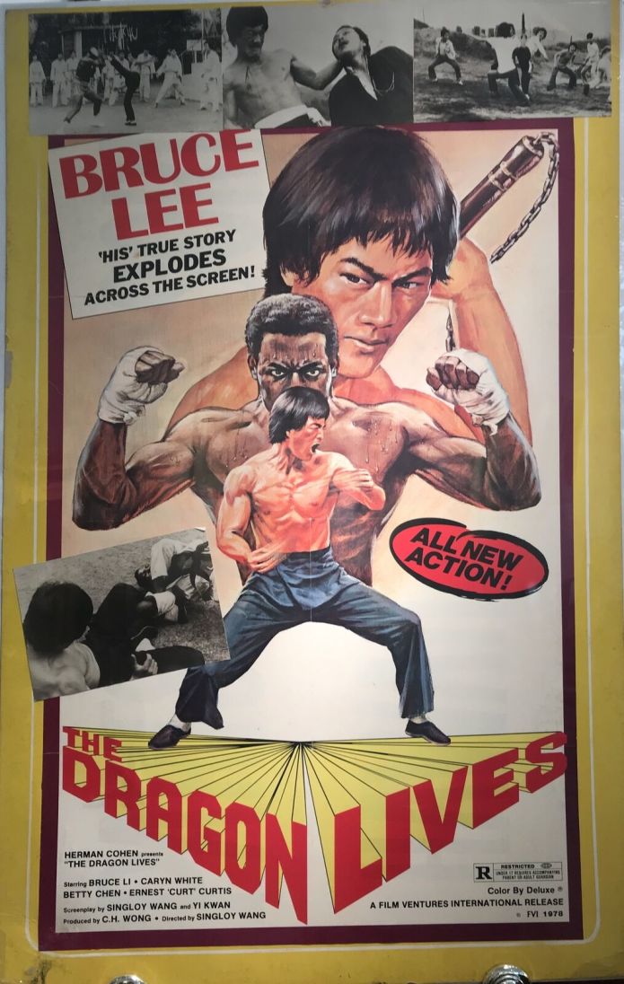 Ultimate Art Book of Bruceploitation Movie Posters | Indiegogo