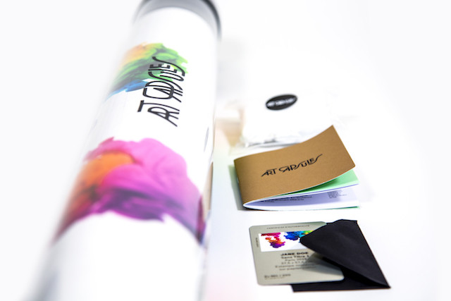 Art Capsules: making art collecting affordable | Indiegogo