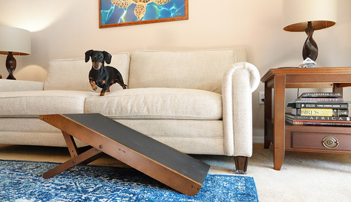 DoggoRamps - The Couch Ramp for Dogs! | Indiegogo