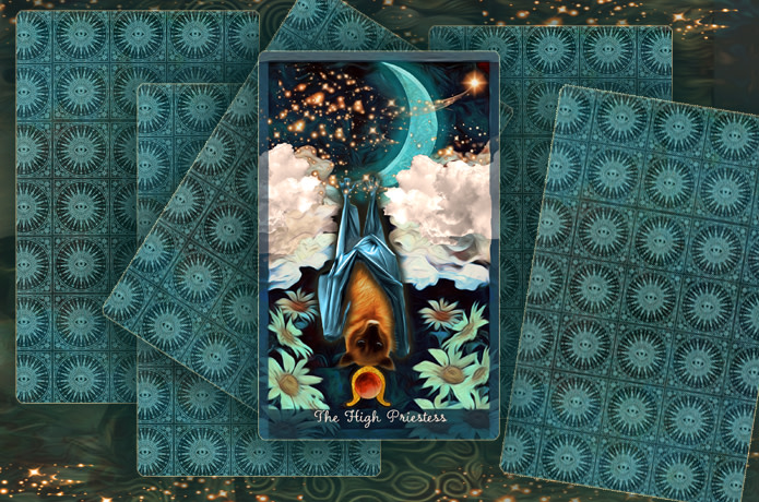 Guardian of the Night Tarot | Indiegogo