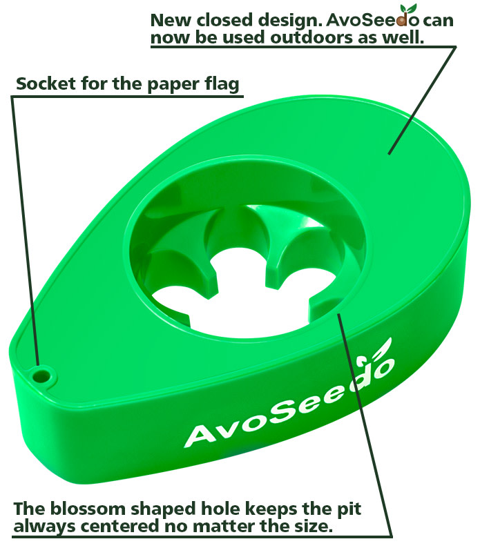 AvoSeedo Nü - Grow your own Avocado Tree! | Indiegogo